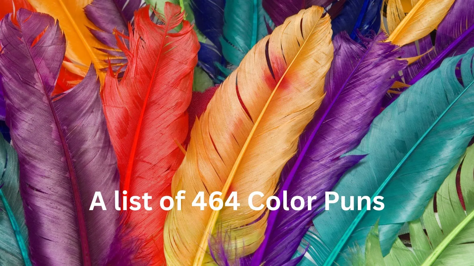 464+ Color Puns That Will Paint a Smile on Your Face
