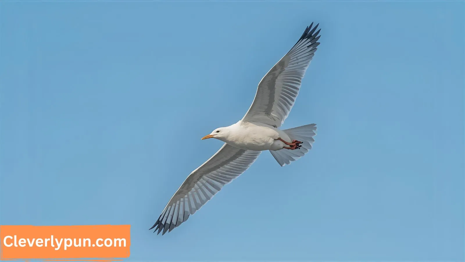 362+ Hilarious Flying Puns for Captions and Jokes 2025